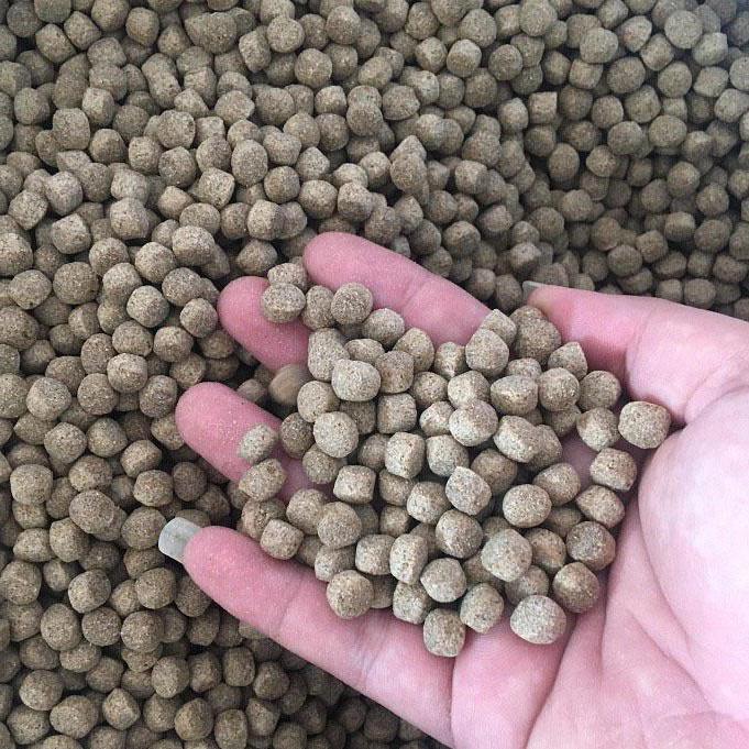 Animal Feed Company For Sale In Ho Chi Minh City Vietnam Seeking VND animal-feed-company-for-sale-in-ho-chi-minh-city-vietnam-seeking-vnd