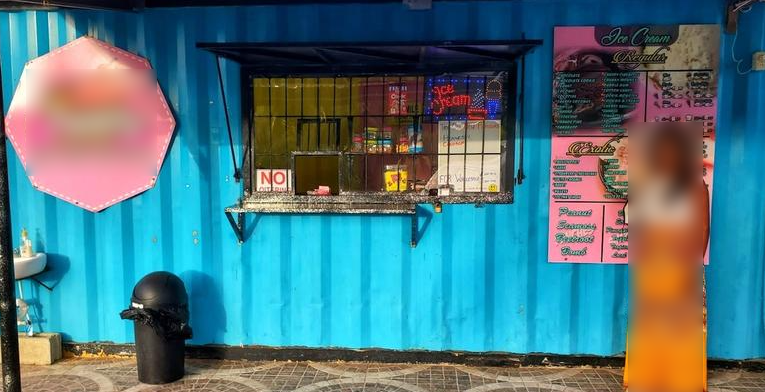 Frozen Food Business Investment Opportunity in Mayaro, Trinidad and ...