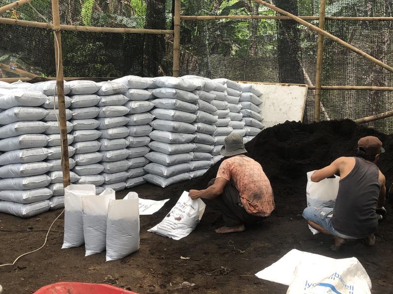 Vegetable Farm Investment Opportunity in Parung Panjang, Indonesia ...