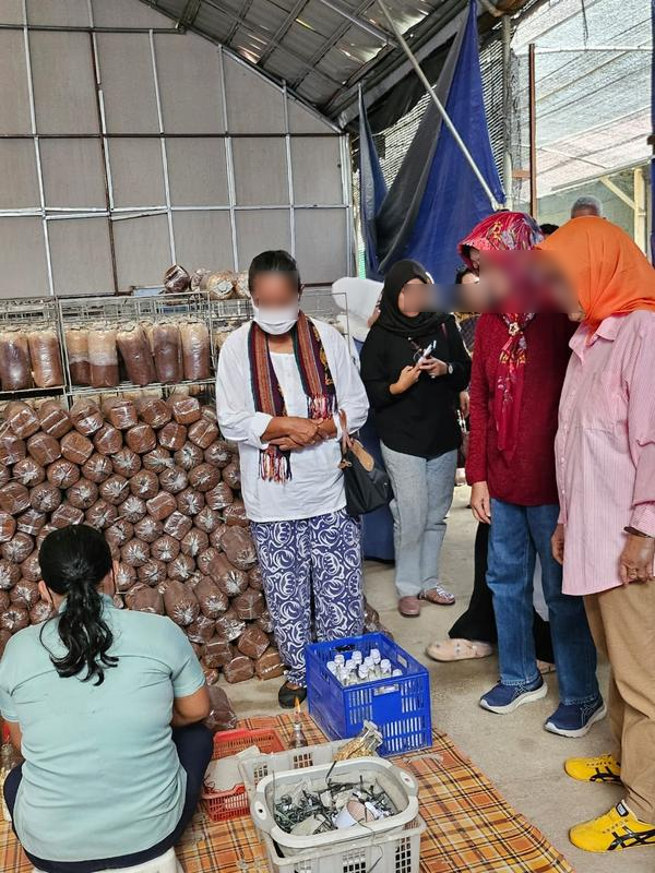 Vegetable Farm Investment Opportunity in Parung Panjang, Indonesia ...