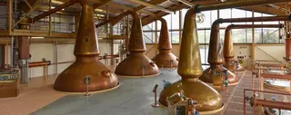 Distilleries for Sale and Investment | SMERGERS